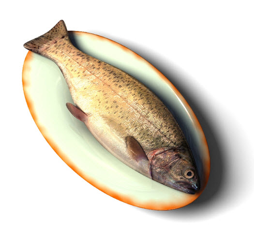 fish on plate - Southwick Associates